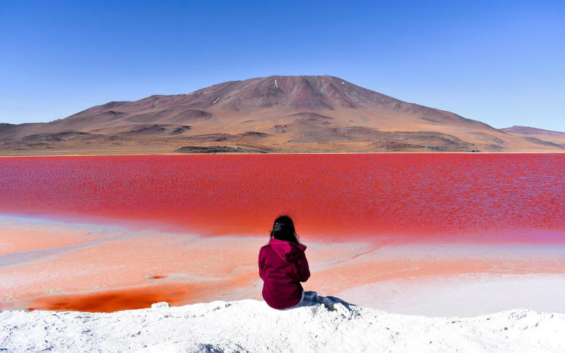 Complete Guide: How to Get to Laguna Colorada in Bolivia